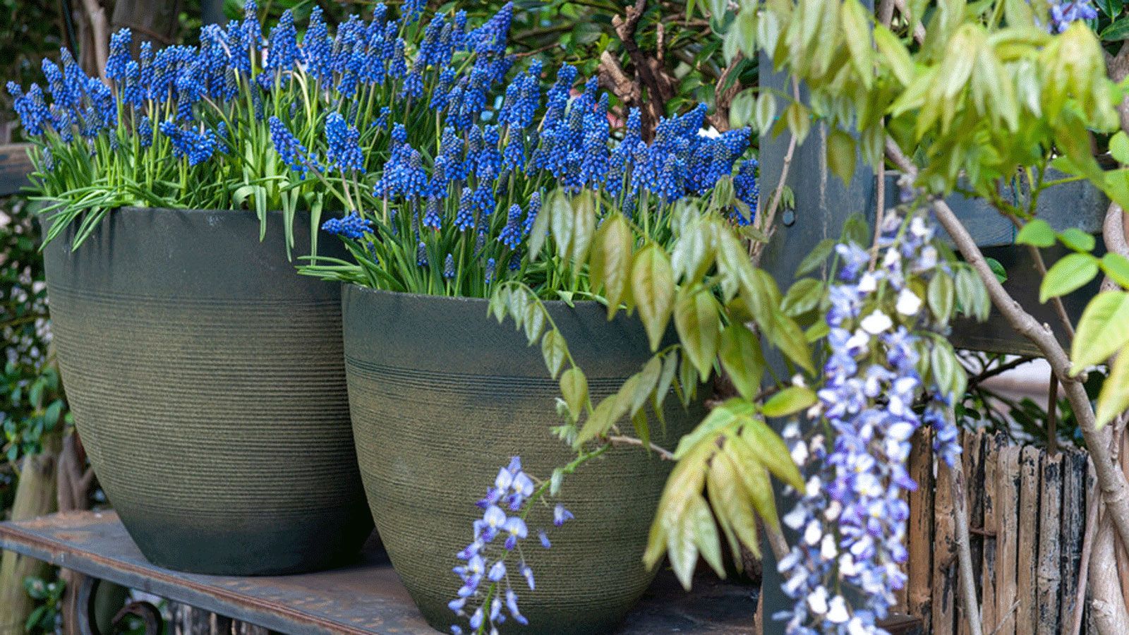 Spring planter ideas: 7 ways to add instant seasonal color