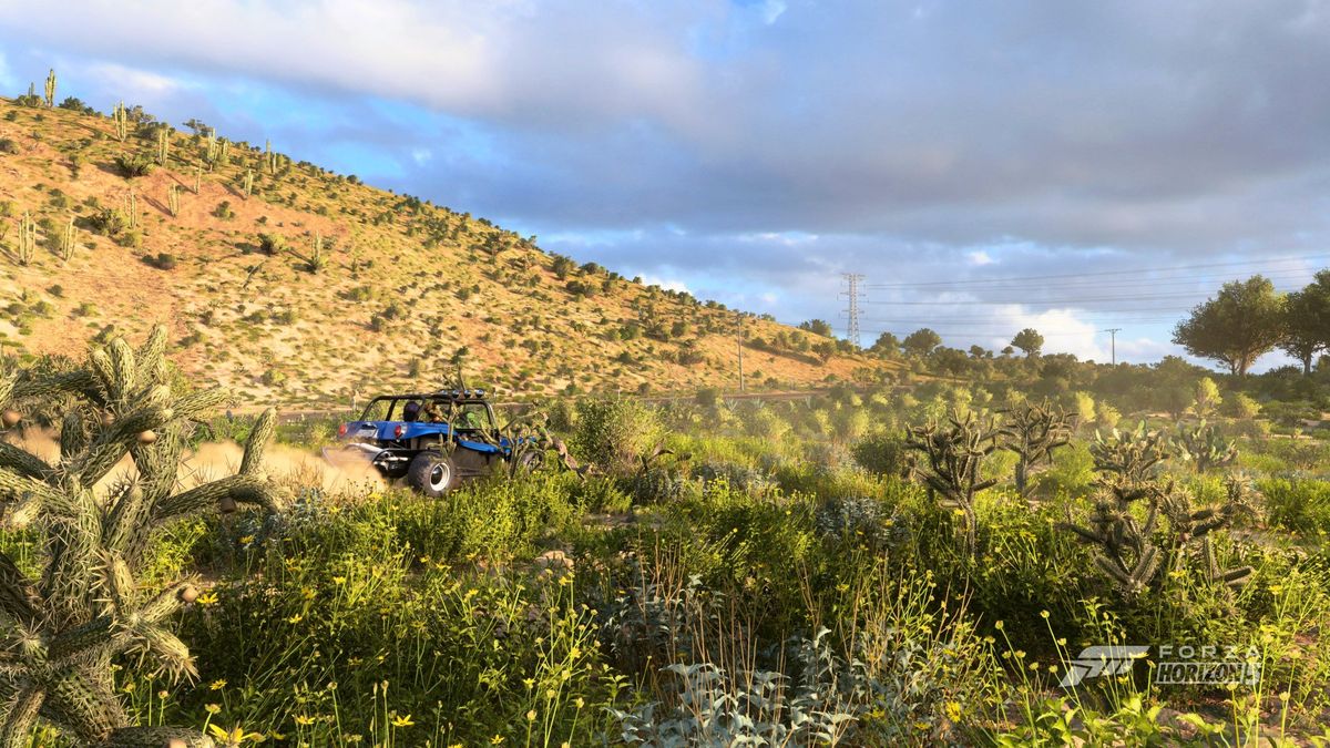 Forza Horizon 5 review: The unchallenged champion of open-world racers ...