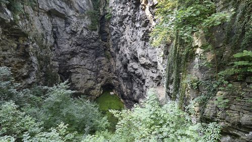 Articles by Sascha Pare, Trainee staff writer | Live Science