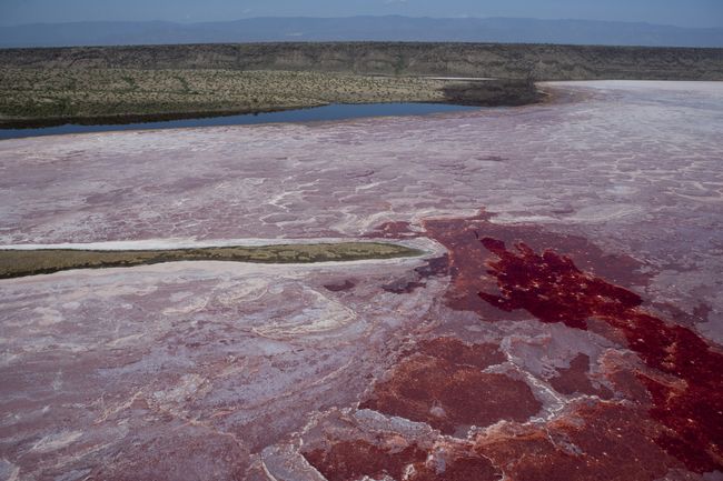 'A challenge and an opportunity for evolution': The extreme, hidden ...