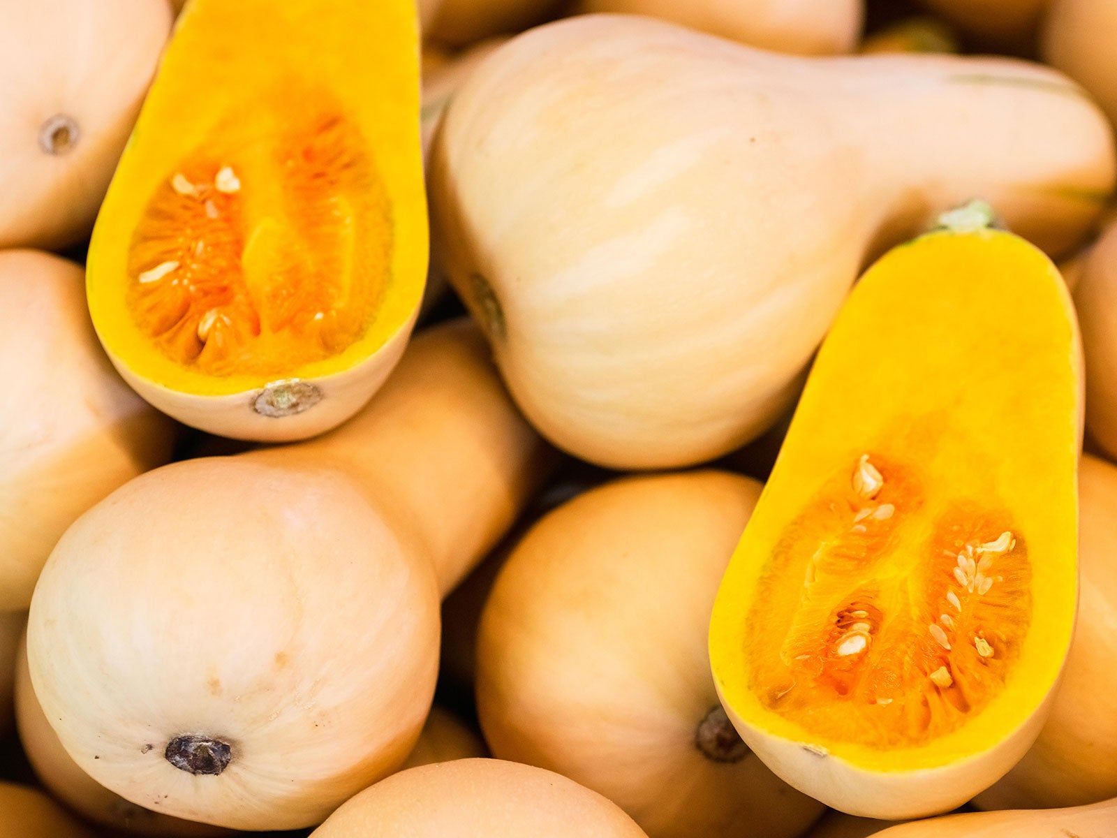 Sweetest Squash Varieties: 6 Of The Best For Every Edible Garden ...