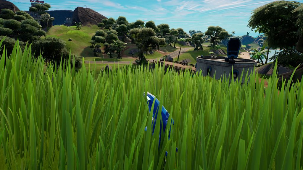 Where is Fortnite tall grass and how to hide in it | GamesRadar+