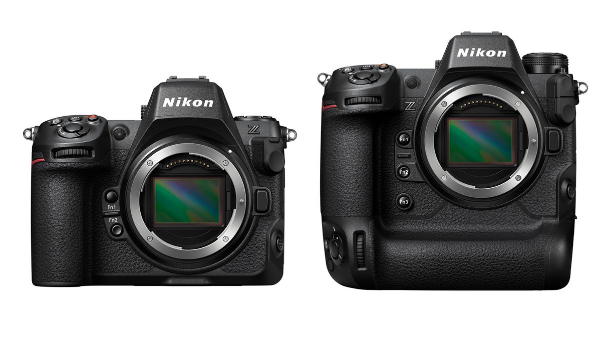 Nikon Z8 vs Z9: getting to grip with the big differences | Digital Camera World