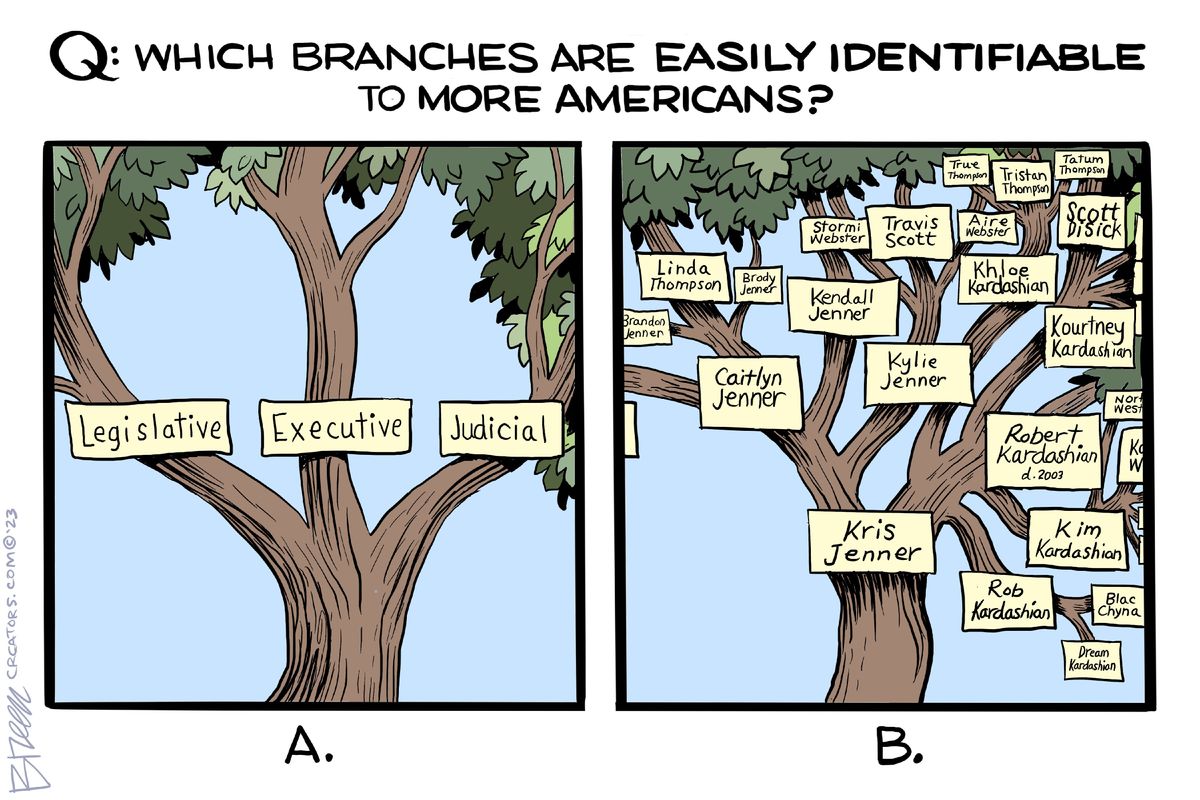 Branch identification | The Week