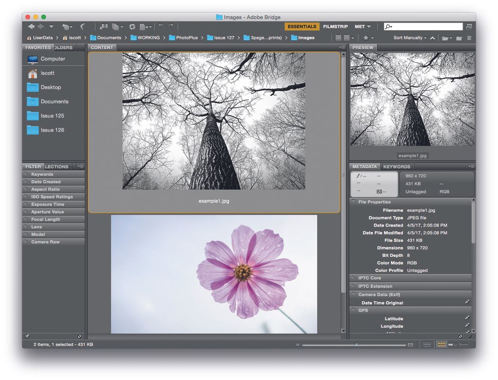 Home photography ideas: How to make a sunprint in just 30 minutes ...