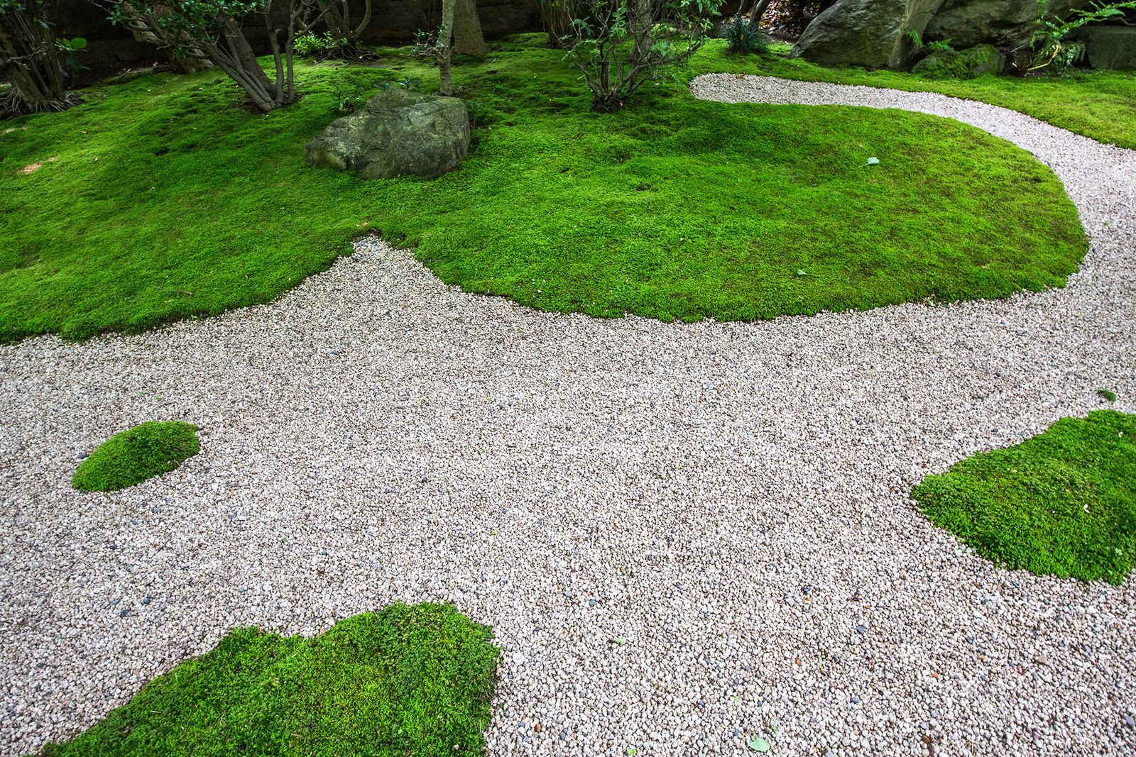 Moss garden: a guide to growing moss in your garden | Homes and Gardens