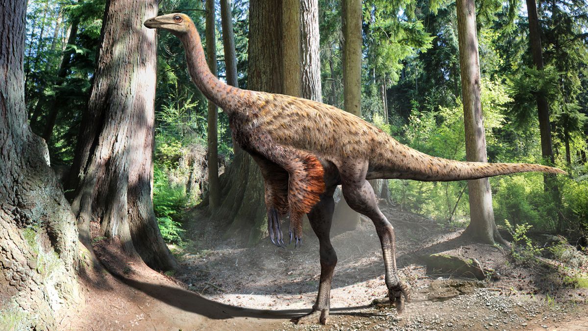 Giant, ostrich-like dinosaur and its smaller cousin roamed Mississippi ...