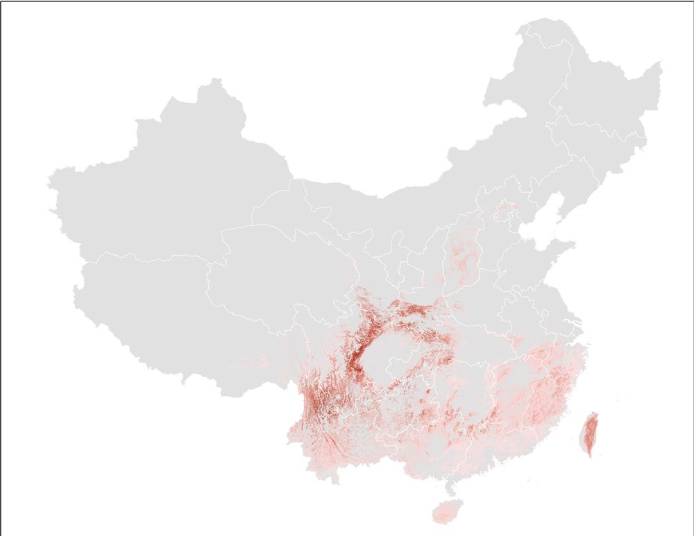 Photos: The Amazing Animals of China | Live Science