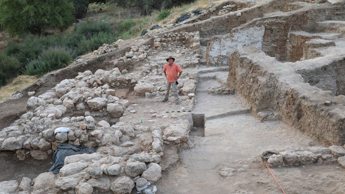 Biblical Goliath may not have been a giant | Live Science