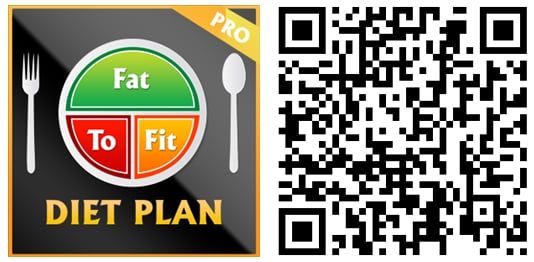 Fat to Fit Diet Plan Pro, a twelve week diet plan that curbs the ...