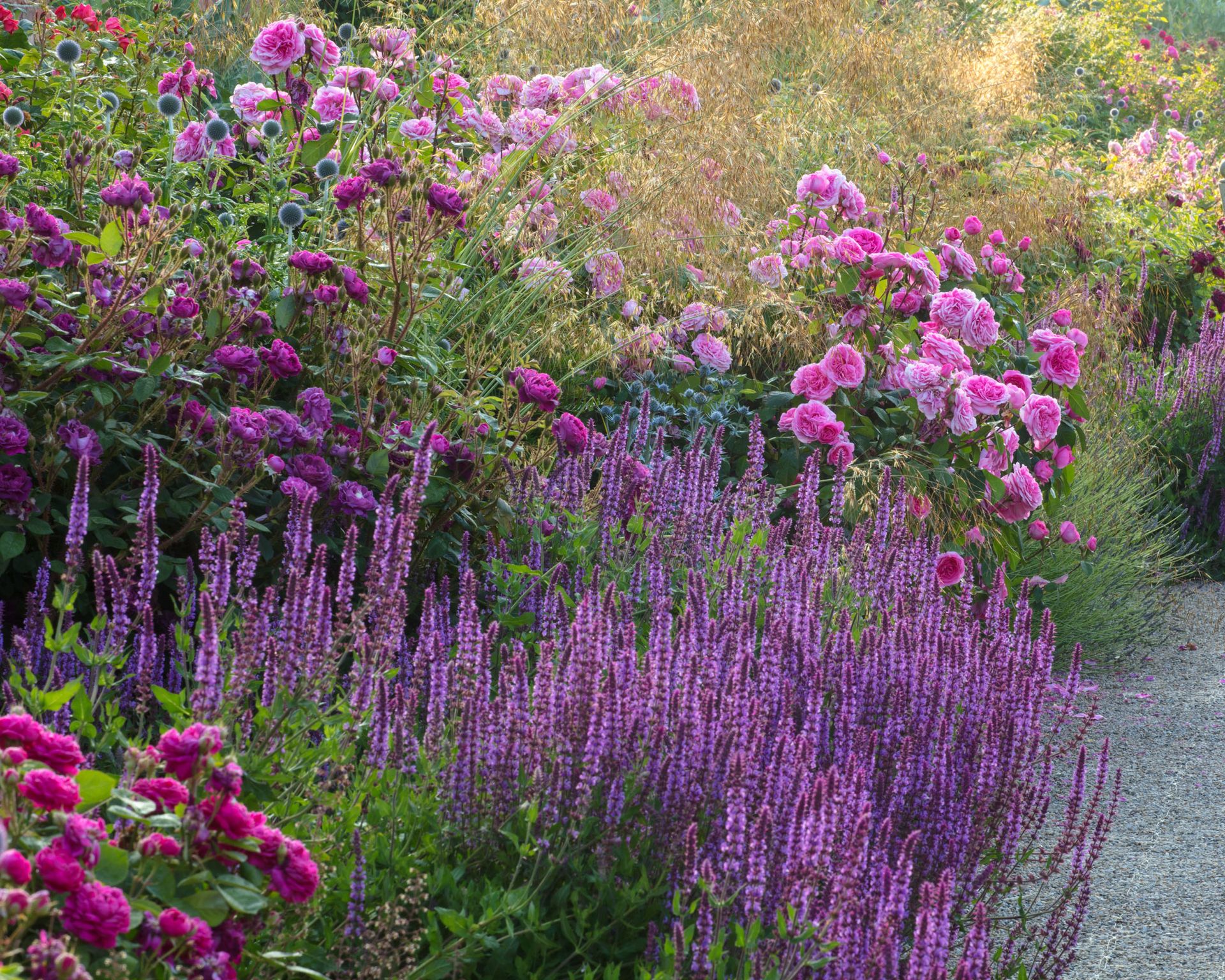 Garden color schemes: how to use color in the garden | Homes and Gardens