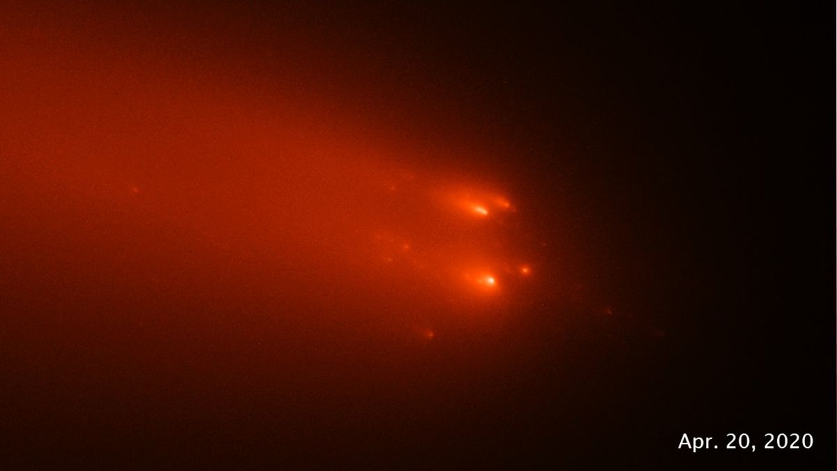 Could the remains of a 'dead' comet still be in the solar system ...