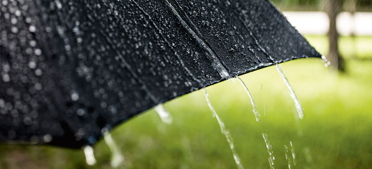 From mizzle to drizzle and dreich to dibble: 17 fascinating British ...