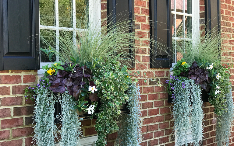 Window box ideas to boost your home's curb appeal | Livingetc