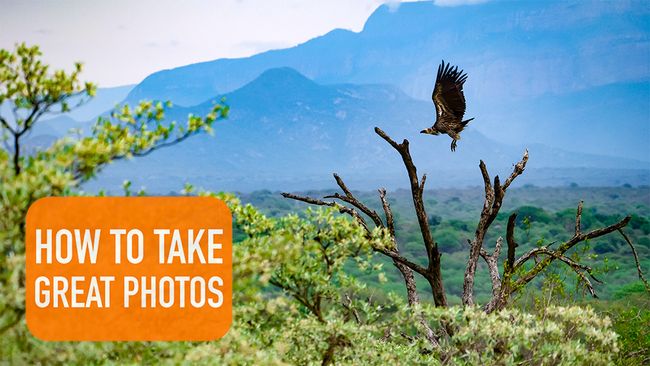 How to take great photos: Understanding light | Digital Camera World