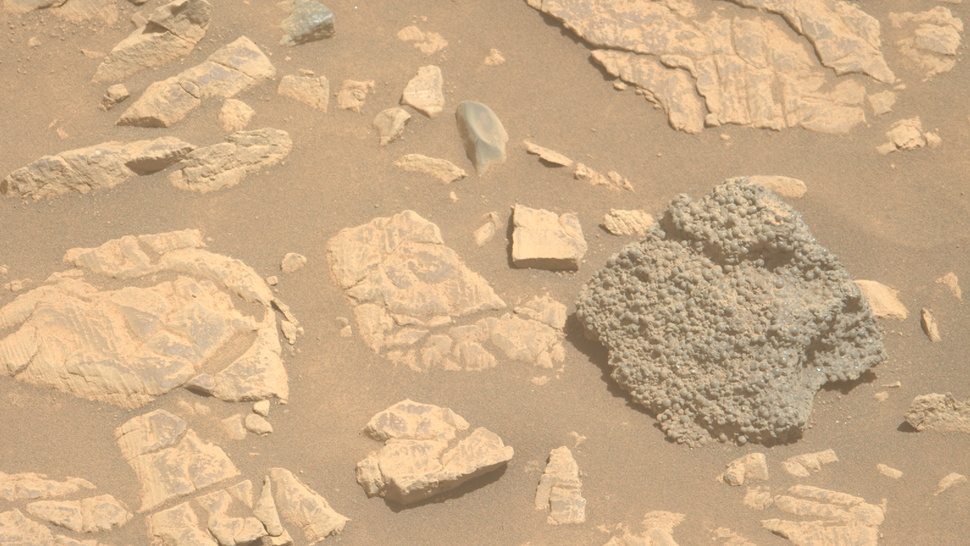 Strange sphere-studded rock on Mars found by NASA's Perseverance rover ...