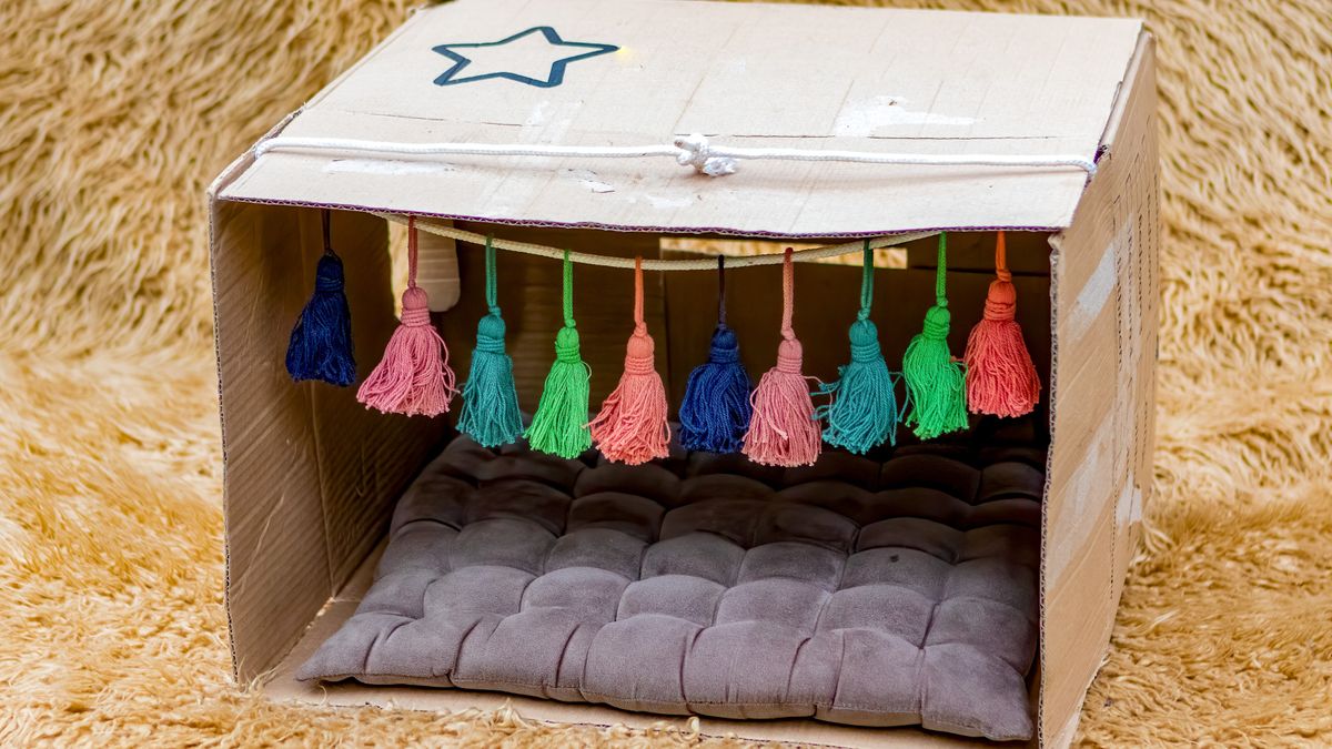 DIY cat toys you can make at home | PetsRadar