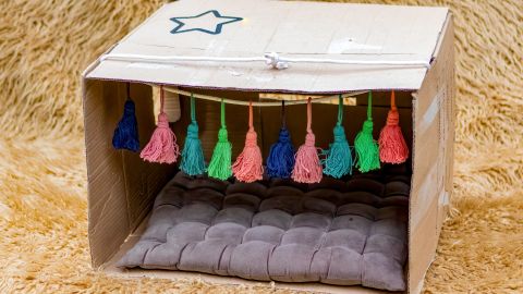 DIY cat toys you can make at home | PetsRadar