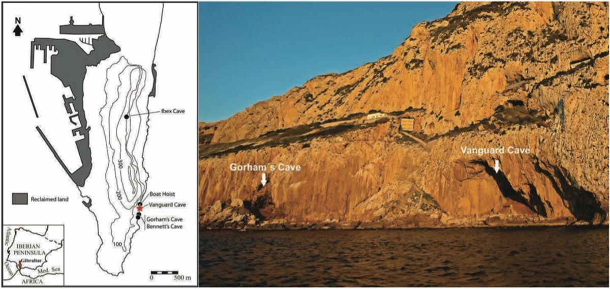 65,000-year-old hearth in Gibraltar may have been a Neanderthal 'glue ...