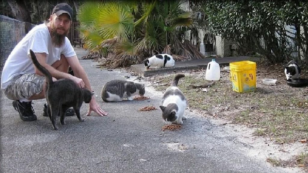 Wholesome death metal news: Obituary drummer Donald Tardy runs a cat ...