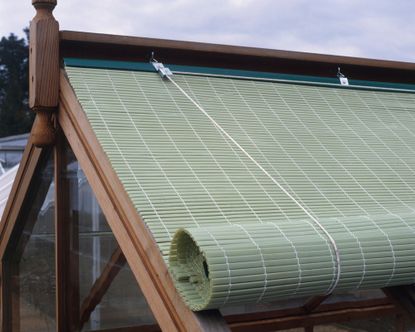 How to use a greenhouse to grow plants, fruit and vegetables | Gardeningetc