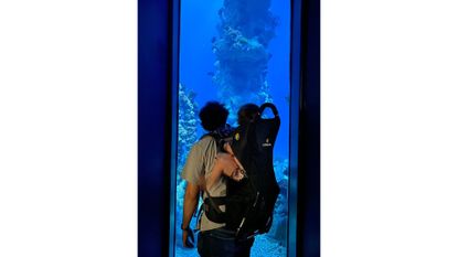 The Deep in Hull: Is it worth a visit? | GoodtoKnow