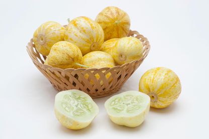 Harvesting lemon cucumbers; when and how to pick this fruit | Homes and ...