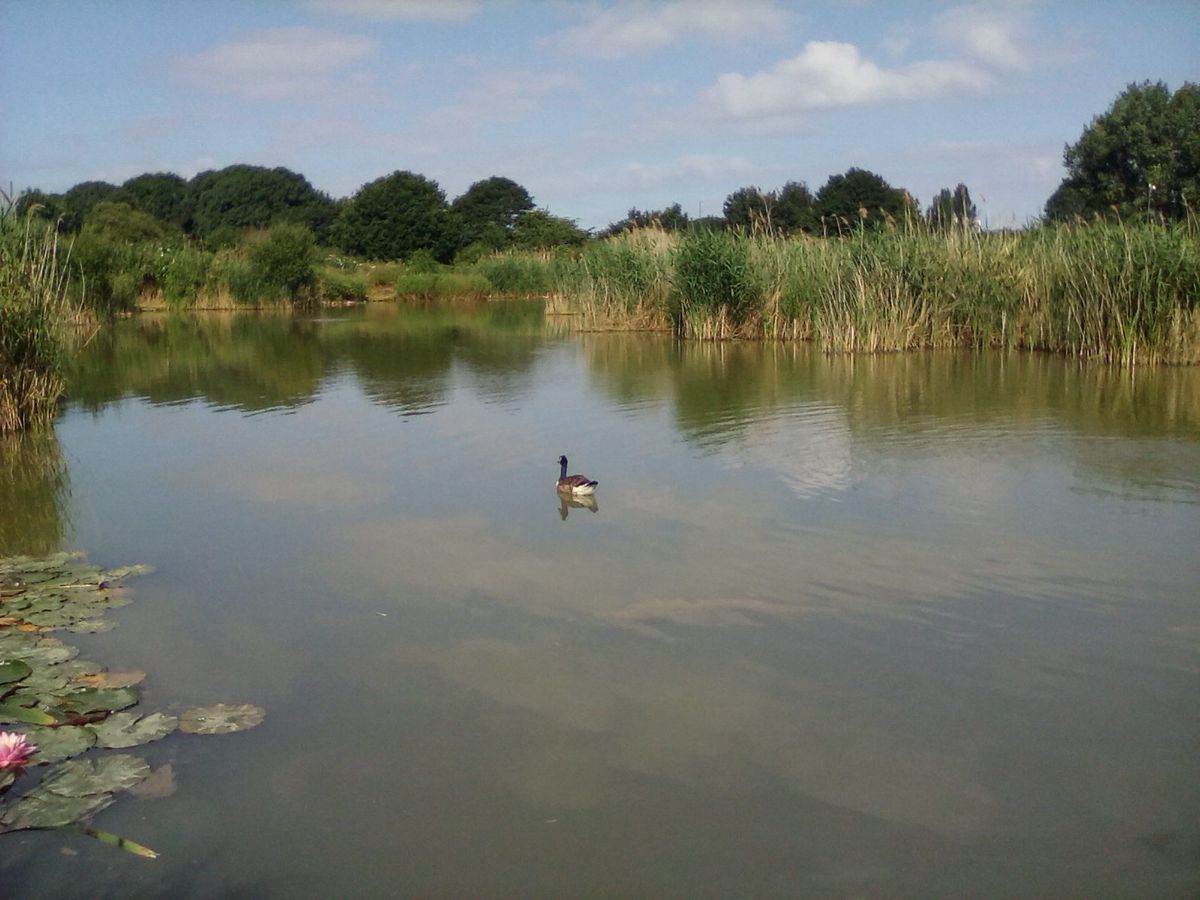Battery life and camera - Amazon Fire 7 (2019) review - Page 2 | TechRadar