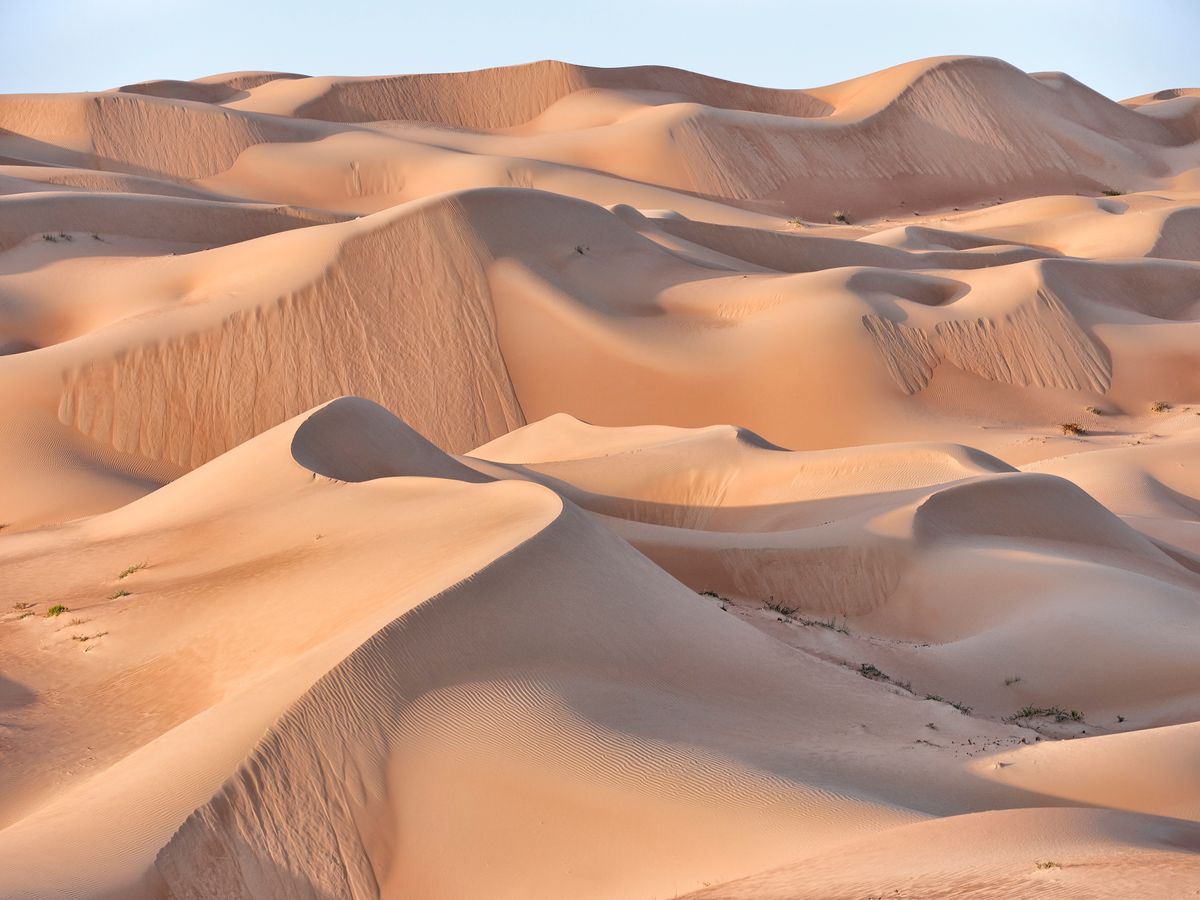 Andrew Prokos uses the Fujifilm GFX 100 to make big prints of big ...