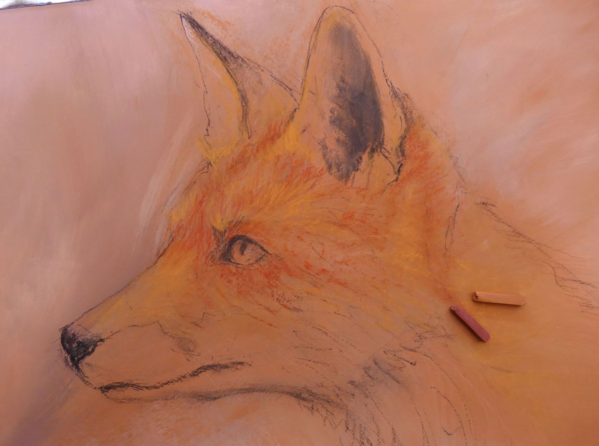 How to draw a fox using pastels | Creative Bloq