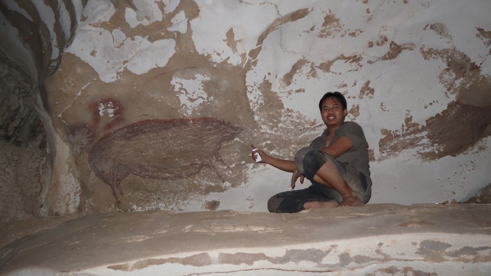 Warty pig is oldest animal cave art on record | Live Science