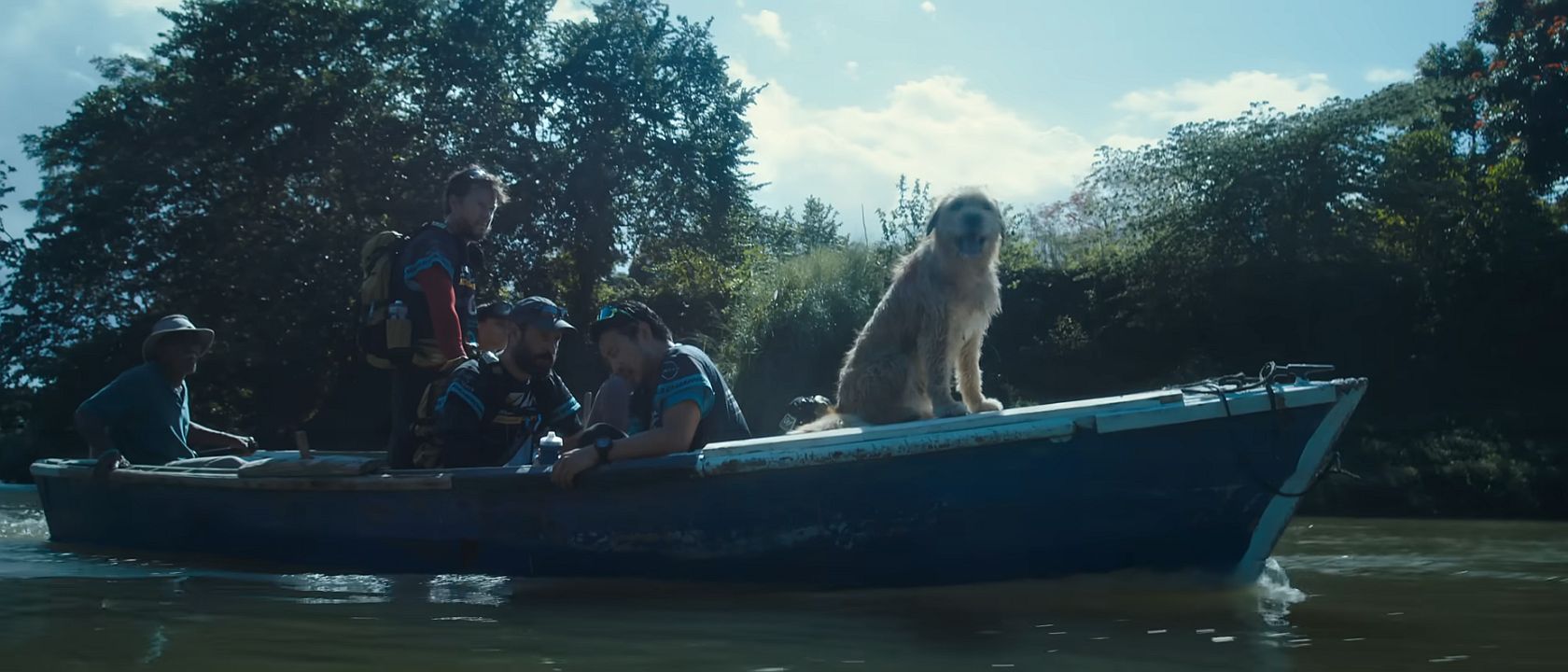 Arthur The King Review: A Good Enough Movie About A Very Good Dog ...