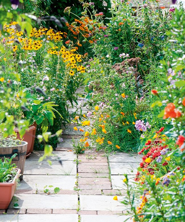 12 garden path ideas for every style and budget | Homebuilding
