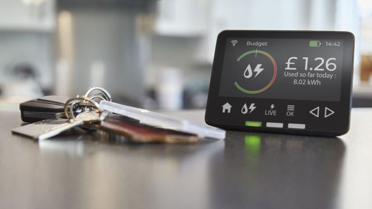The pros and cons of smart meters – should you switch? | MoneyWeek