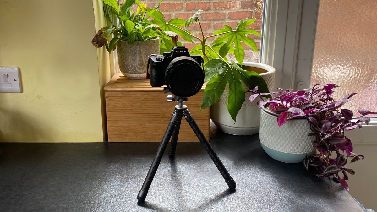 The best mini tripods | Digital Camera World