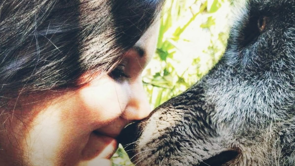 Giant wolf dog Yuki has an eye for the ladies | PetsRadar