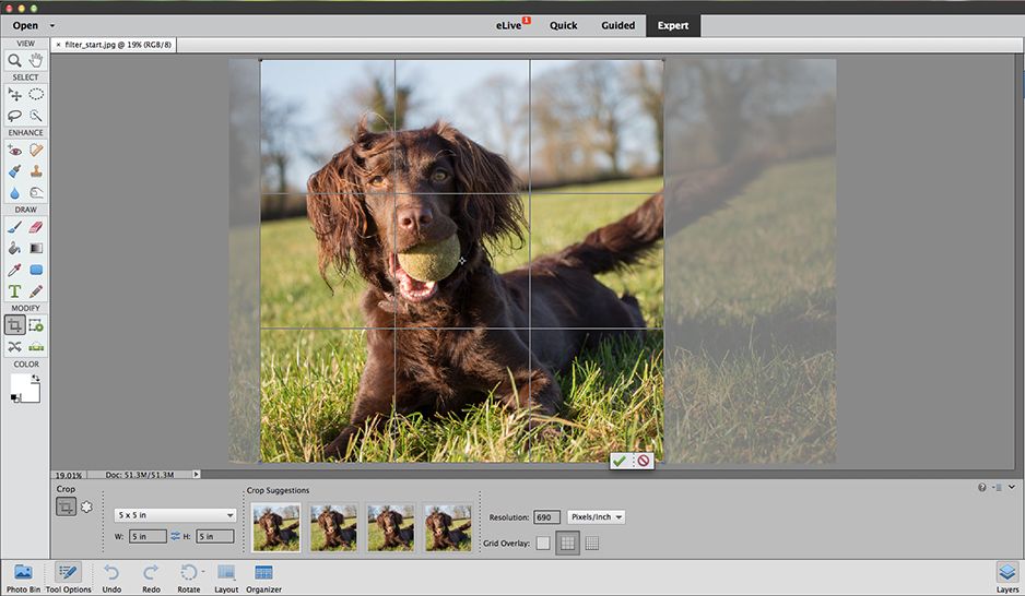 How to create Instagram-style filters | Digital Camera World