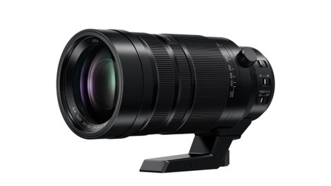 The best lenses for bird photography in 2022 | Digital Camera World