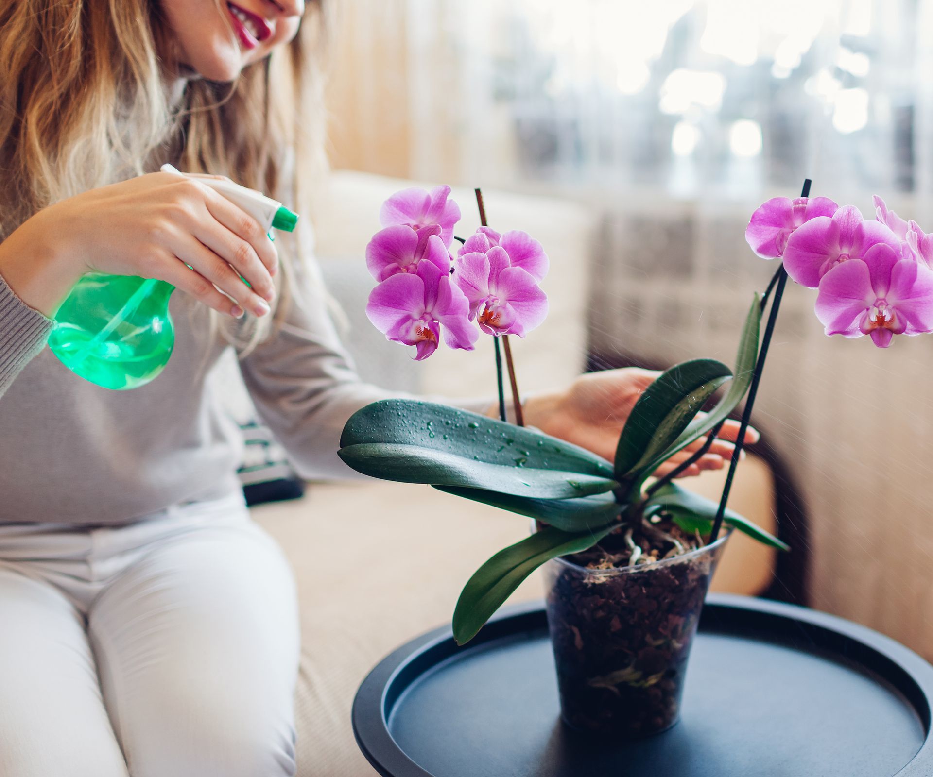 How to bring an orchid back to life after years of no blooms | Homes ...