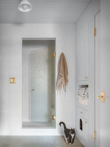 What is ‘barkitecture’? Try these pet-centric design ideas | Livingetc