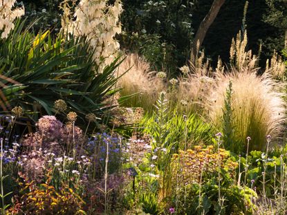 Mediterranean garden ideas | Livingetc