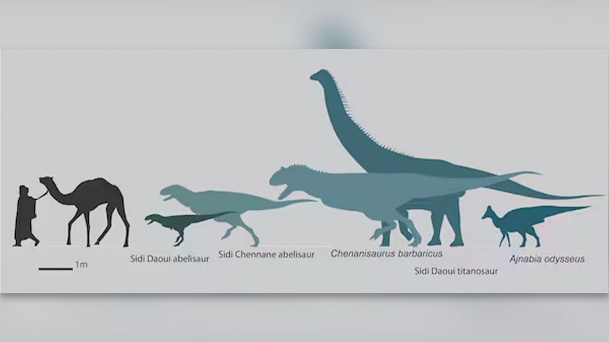 'Cut down in their prime': Dinosaurs were thriving in Africa before the ...