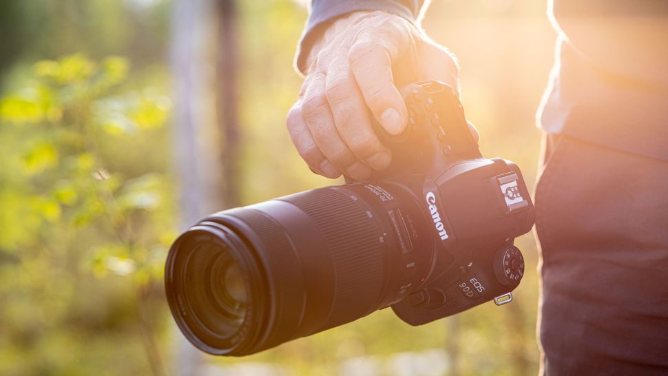 DCW staff picks: Best cameras of 2019 | Digital Camera World