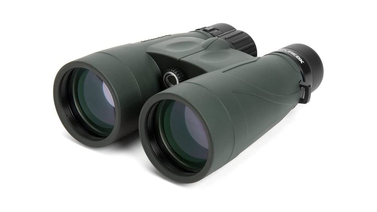 Best binoculars 2022: Our picks for stargazing, bird watching, and ...