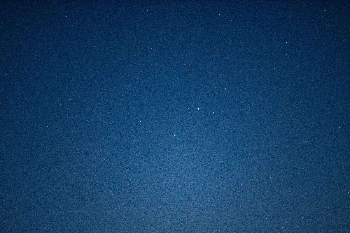 See Comet Nishimura get its tail blown off by a solar storm (photos ...