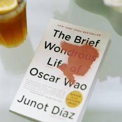Book Club: The Brief Wondrous Life of Oscar Wao | Marie Claire