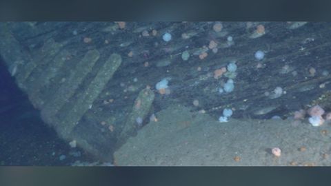 Wreck of US ship that hunted Nazi spies in the Arctic finally ...