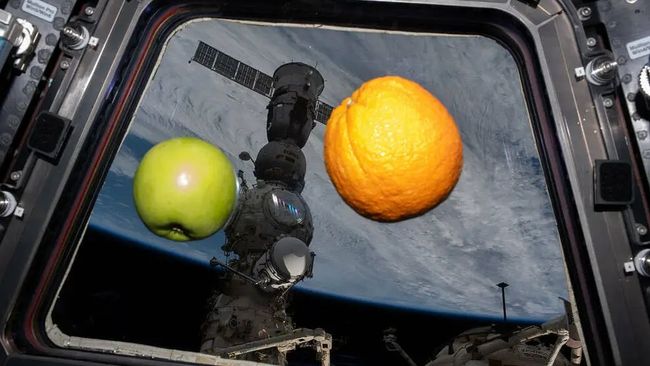 Orange you glad there's fruit in space? These astronauts sure are ...