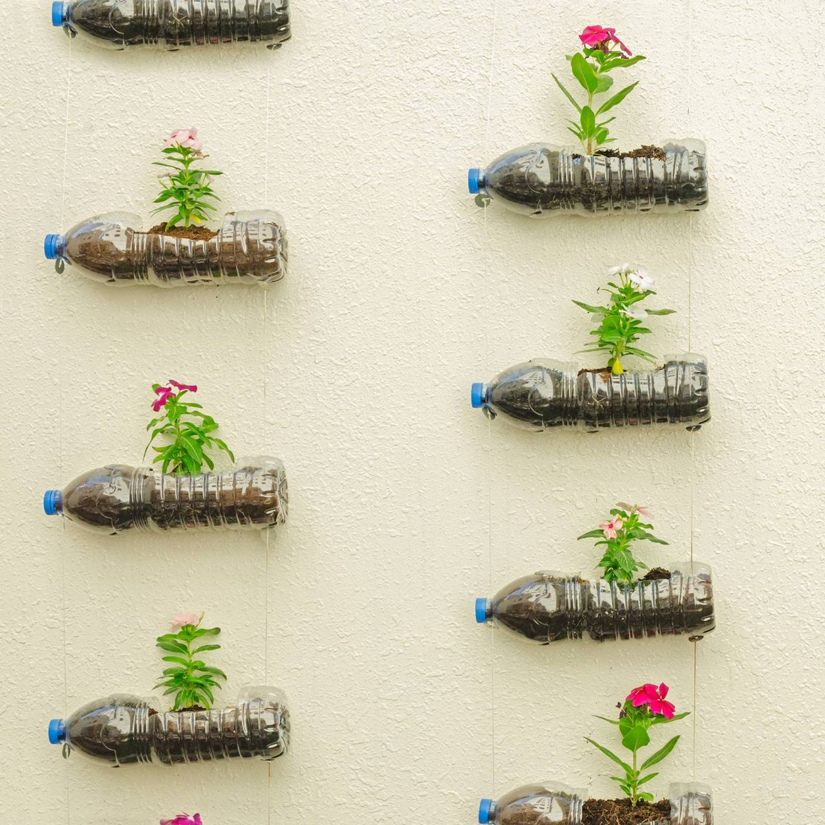 How To Reuse Plastic Products In Your Garden: 9 Clever Ideas - Improve ...