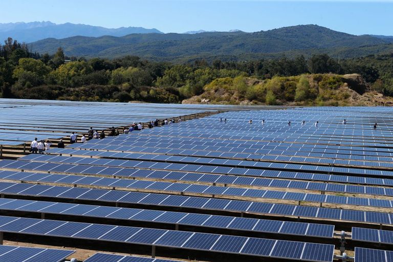 Solar energy is now cheaper than coal and gas in most countries, IEA ...